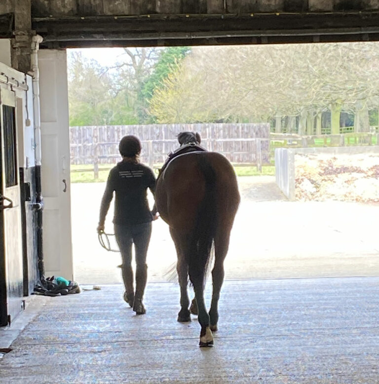 Gallery - Marston Stud Farm